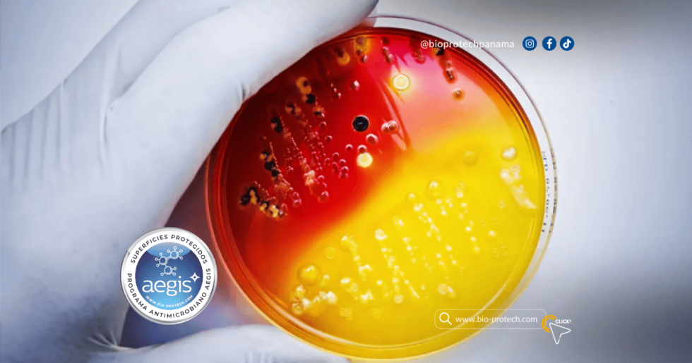 ¿Qué es un antimicrobiano? - BioProtech